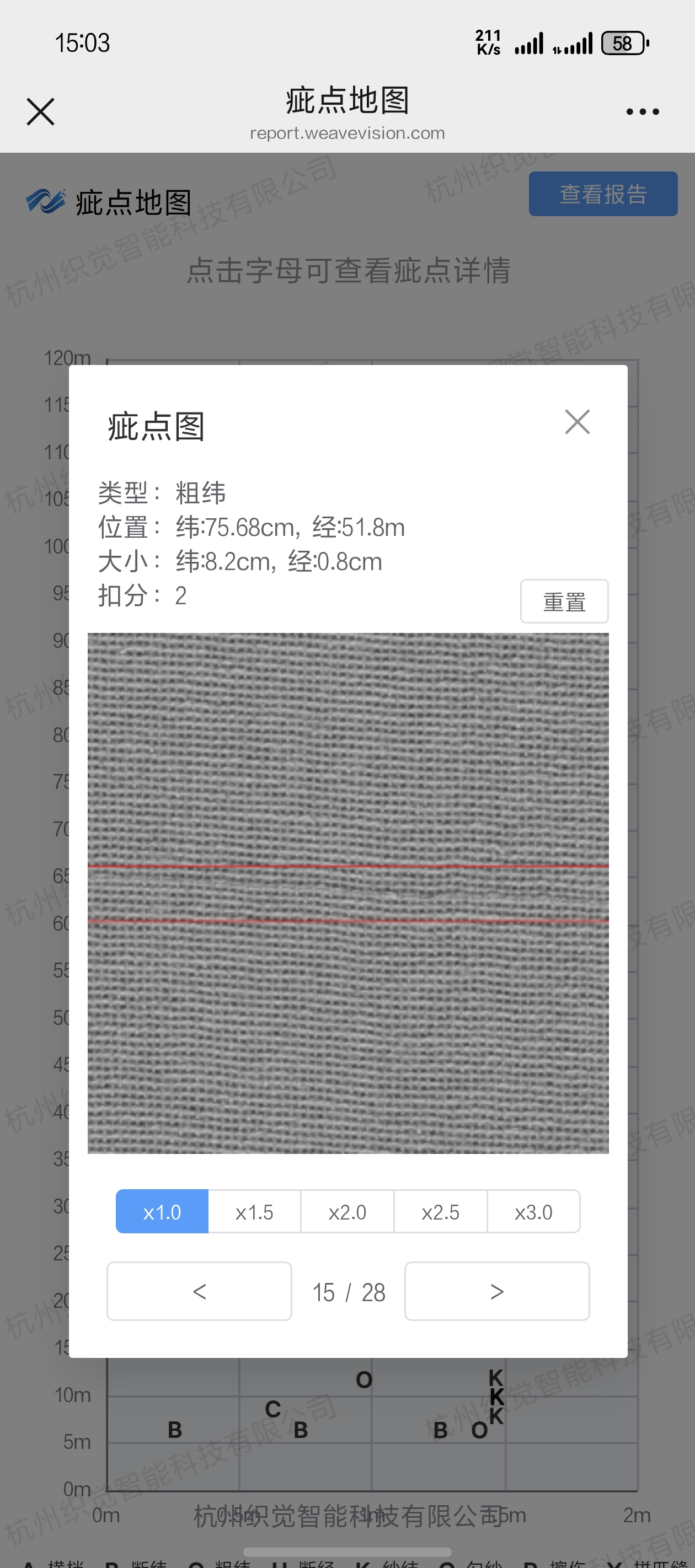 电子报告 - 杭州织觉智能科技有限公司